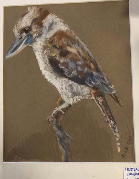 ‘Australia’s Giant Laughing Kingfisher’ Aileen Stinten original artwor ...